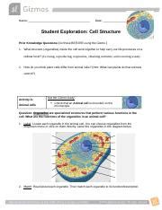 Cell Structure Gizmo Docx Name Date Babe Exploration Cell Structure Prior Knowledge
