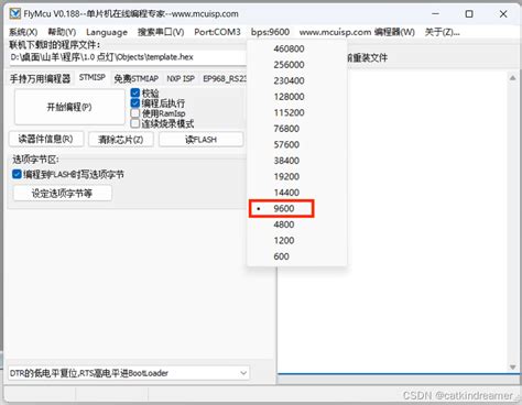Flymcu烧录和擦除stm32flymcu怎么烧录stm32 Csdn博客