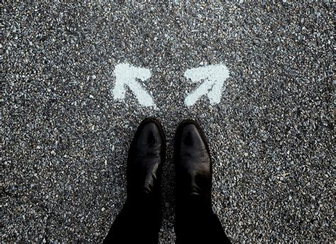 how to pick between data science data analytics data engineering ml