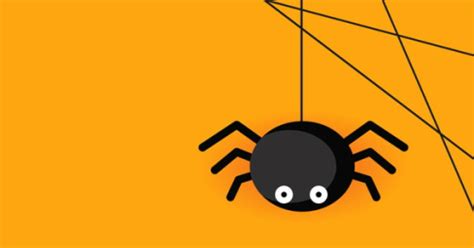 연구 거미를 피하는 방법오후 7시35분 가장 활동적