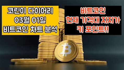 코린이다이어리 비트코인 차트 분석 03월 01일 제로엑스 앱토스 스택스 파워렛저 시빅 Youtube