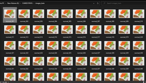 Attributeerror Module Largeimage Has No Attribute Gettilesource · Issue 1012 · Girder