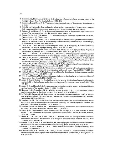 Inferior Temporal Cortex Pdf
