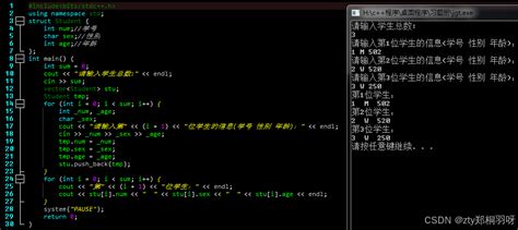 C 结构体 Struct 详解c Struct Csdn博客