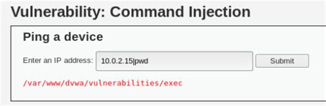 Hacking For Beginners Command Injection Vulnerability Techsphinx