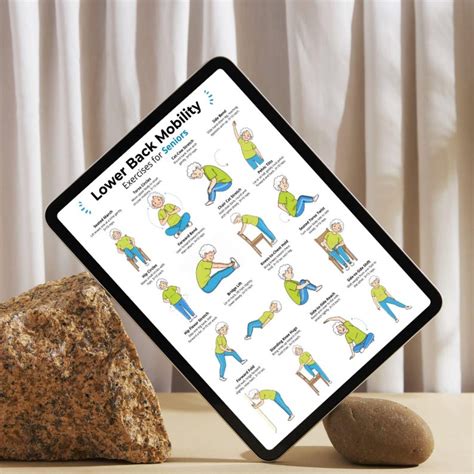 Lower Back Exercises For Seniors Mobility Exercises Poster Gentle