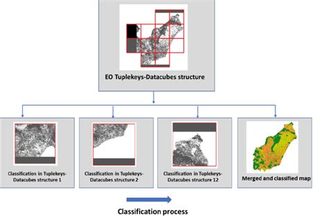The Classification Process Order Download Scientific Diagram