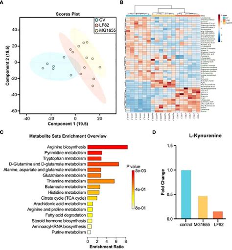 Lf82 Impacts Gut Metabolites In The Honeybee Gut A Sparse Partial