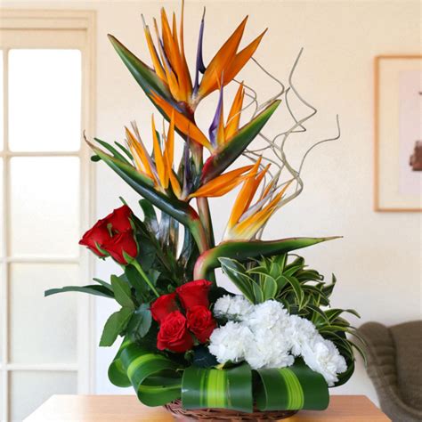Bop Rose Basket Arrangement Exotic Bird Of Paradise And Roses