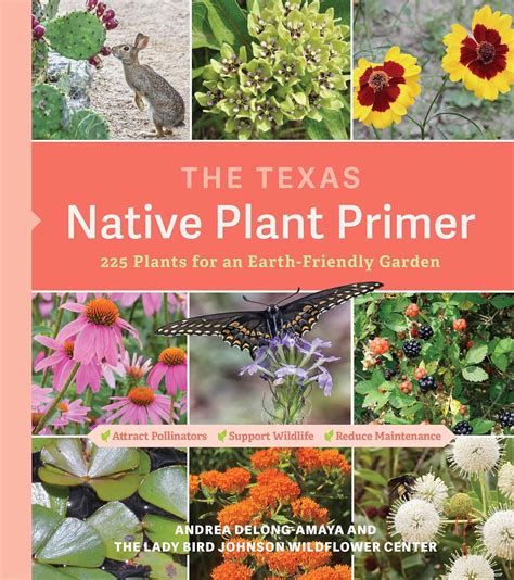 The Texas Native Plant Primer 225 Plants For An Earth Friendly Garden