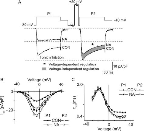 Double Pulse Protocol Make It Possible To Isolate Voltage Independent Download Scientific