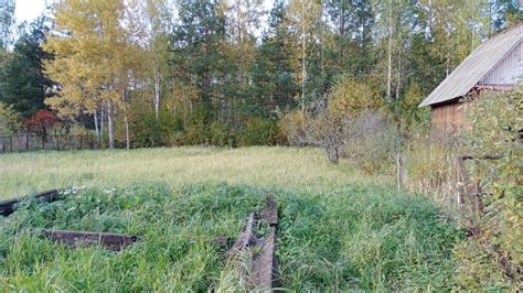 Земли сельхозназначения Московская область Богородский городской округ садовое товарищество