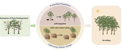 R语言 计算微生物群落alpha多样性及其可视化 环境驱动因子 Book学术