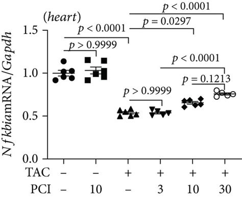 Pci34051 Downregulates The Expression Of Hdac8 And Inflammation Related