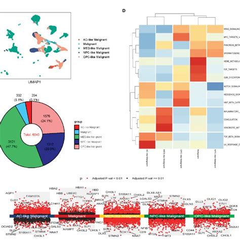 Single Cell Rna Sequencing Analysis Of Gbm A The Umap Clustering Map