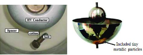 Experimental Models Used For Free Moving Particle 77 78 Download Scientific Diagram
