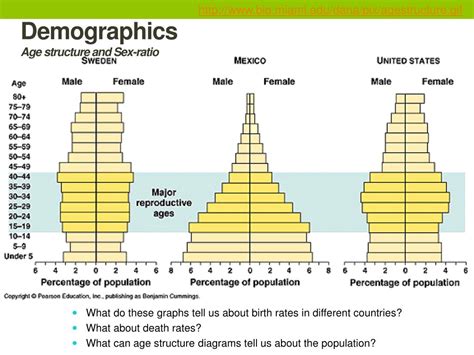 Ppt Population Dynamics Powerpoint Presentation Free Download Id 4342008