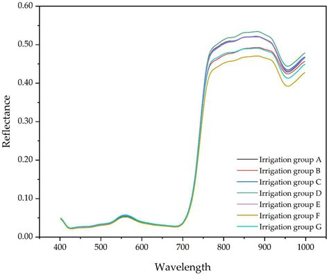 Remote Sensing Free Full Text Estimation Of Winter Wheat Yield