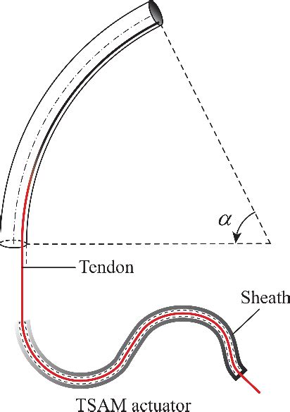 Figure 1 From Modeling And Adaptive Control For Tendon Sheath Artificial Muscle Actuated Bending