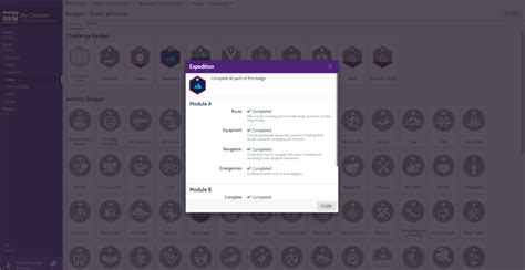 Osm Badge Progress 118th Derby Scouts