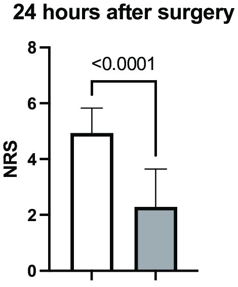 Nrs 24 H Ipack A Popliteal Artery And Posterior Knee Capsule