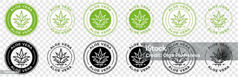 천연 유기농 제품 패키지를 위한 알로에 베라 그린 리프 라벨 알로에 베라 리프 서클 아이콘 사인 용 화장품 또는 모이스처라이저 크림과 스킨케어 로션 패키징 디자인 템플릿