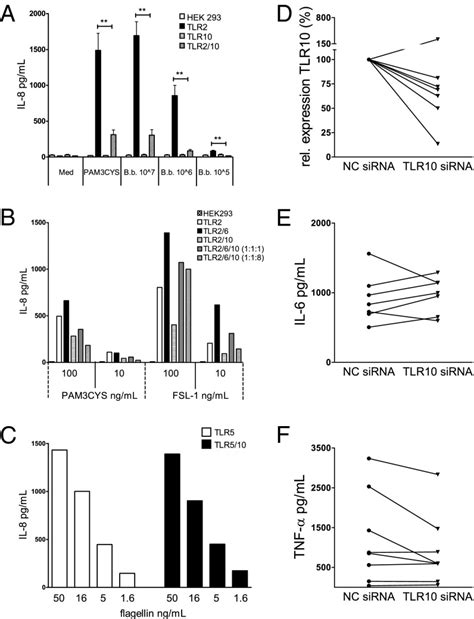 Human Tlr10 Is An Anti Inflammatory Pattern Recognition Receptor Pmc