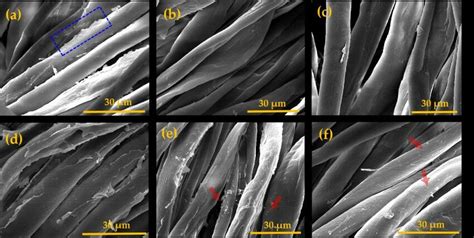 Sem Of The Finished Cotton Fabrics By Ba G Cncs Under Different Ba
