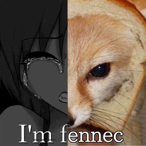 Best 13 Fennec Fox Therian Pfp Artofit