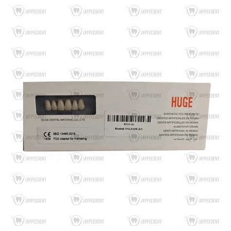 Huge Bluebell Synthetic Polymer Teeth Shade A2 Full Set At ₹ 650