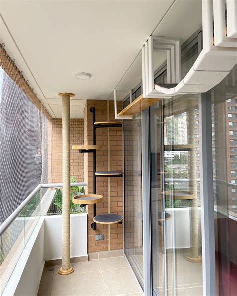 10 Aesthetic Cat Climbing Wall Designs That Compliment Modern Homes