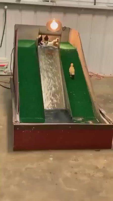 Pure Innocent Fun Tumbex