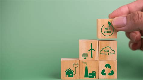 The Importance Of Carbon Offsetting For Businesses