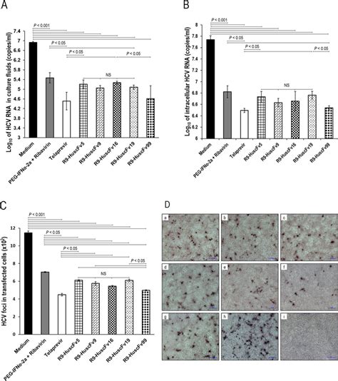 Transbodies Mediated Hcv Replication Inhibition Panel A Shows Amounts