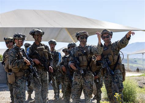 Dvids Images 1st Combat Engineer Battalion Hosts Annual Sapper