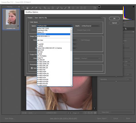 Adobe Color Profile Is Missing Adobe Community