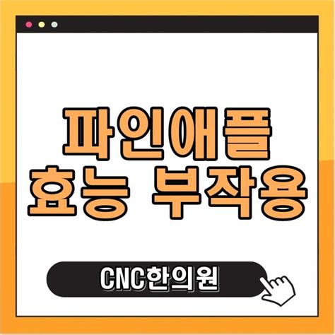 파인애플 효능 부작용 챙겨보실께요 네이버 블로그