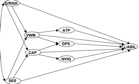 The Conceptual Diagram For The Cognitive Capacity Hypothesis Model