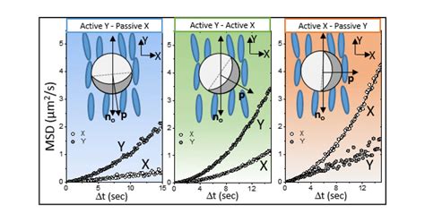 Active Janus Particles At Interfaces Of Liquid Crystals Langmuir