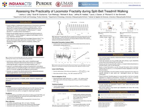 Pdf Assessing The Practicality Of Locomotor Fractality During Split Belt Treadmill Walking