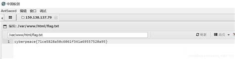 ctf 攻防世界练习题 二） ctf index题 csdn博客