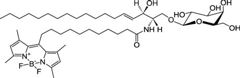 C11 Topfluor™ Galactosyl Ceramide