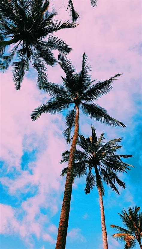 Pinterest Summer Wallpapers Wallpaper Cave