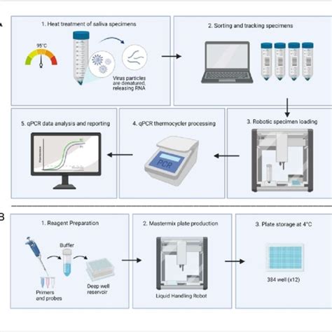 Touchdown Rt Qpcr Protocol Thermocycling Conditions For One Step