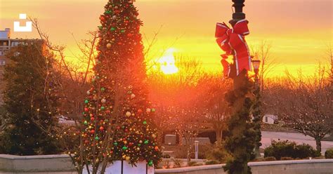 공원 한가운데있는 크리스마스 트리 사진 Unsplash의 무료 록 힐 사우스캐롤라이나 이미지