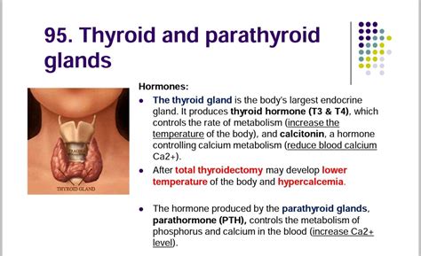 Would Total Thyroidectomy Lead To Hypercalcaemia Due To Reduced