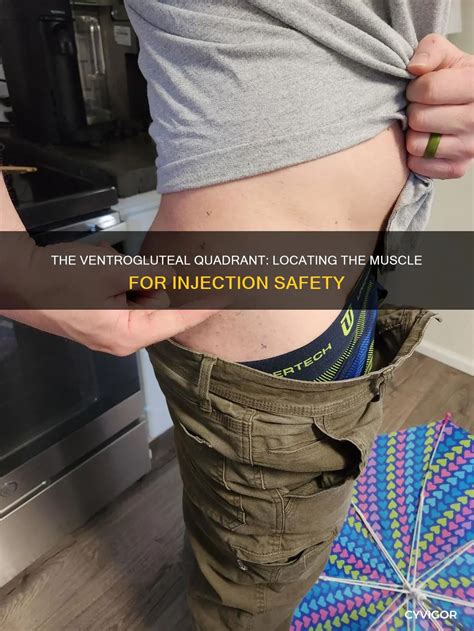 The Ventrogluteal Quadrant Locating The Muscle For Injection Safety