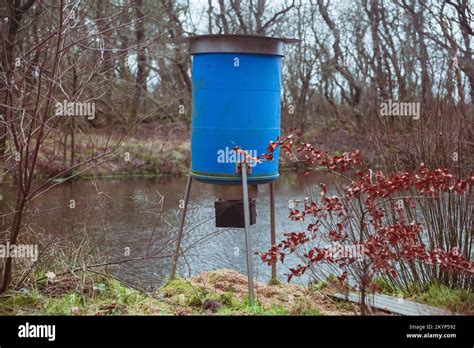 Automatic Deer Feeder In The Autumn Forest In Denmark Stock Photo Alamy