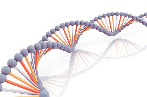 Study Finds Dna Methylation Profile For Early Breast Cancer Detection
