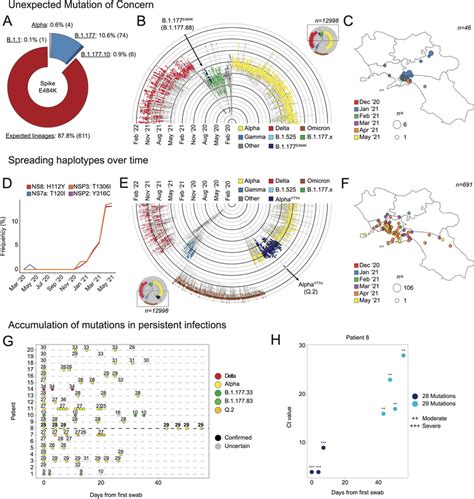 High Throughput Genomic Surveillance Allows The Identification Of New Download Scientific